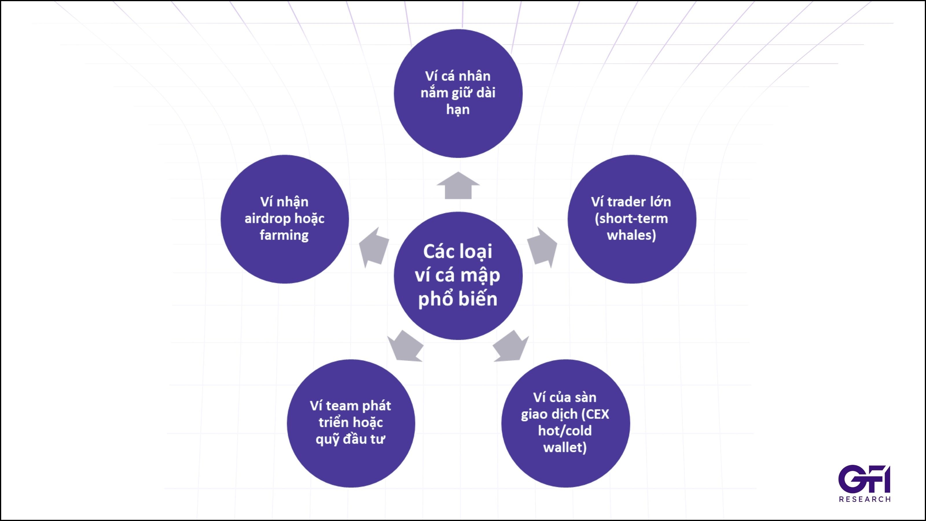 Cách check ví cá mập trong thị trường crypto cho người mới